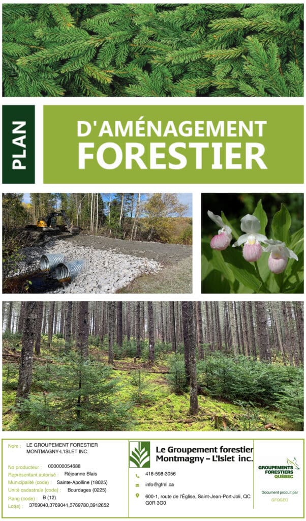 Réalisation de plans d’aménagement forestier et de plans d’érablière